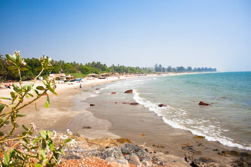 Plage Tropicale Dans Arambola, Goa, Inde Image stock - Image du côte ...