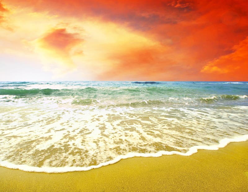 Plage Tropicale Ensoleillée Photo stock - Image du exotique, gens: 14346826