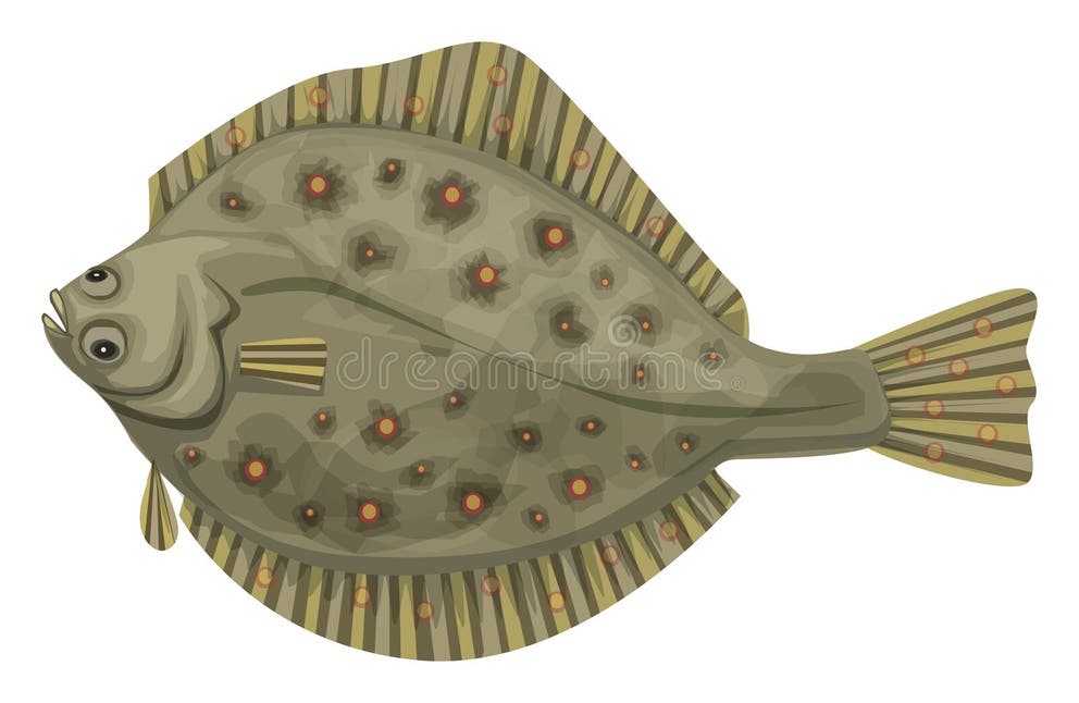 Plaice ilustração do vetor. Ilustração de preto, isolado - 58017674