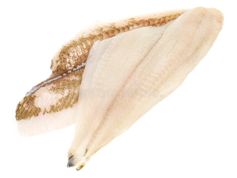 Plaice Fish Fillet stock photo. Image of macro, natural - 146900600