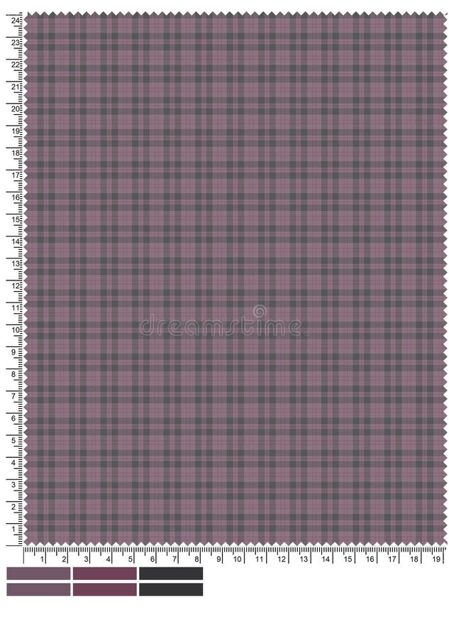 Detailed View of a Plaid Fabric Swatch with Ruler and Color Palette ...