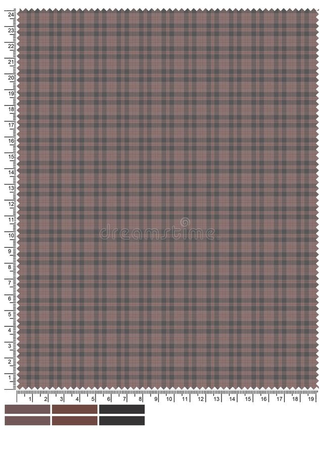 Detailed View of a Plaid Fabric Swatch with Ruler and Color Palette ...