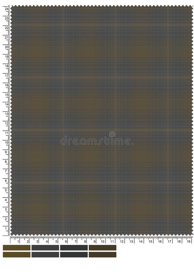 Detailed Plaid Fabric Swatch with Ruler and Color Palette for Textile ...