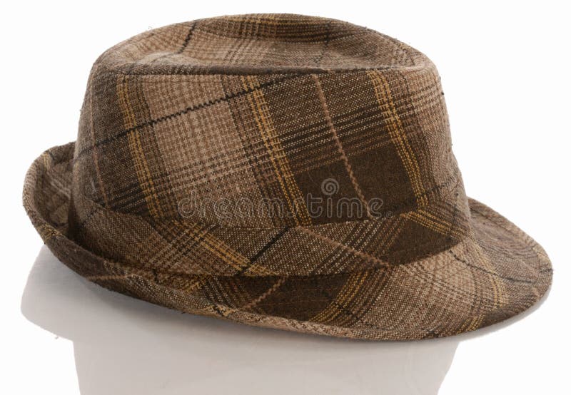 Plaid fedora stock photo. Image of formal, costume, dress - 10067978