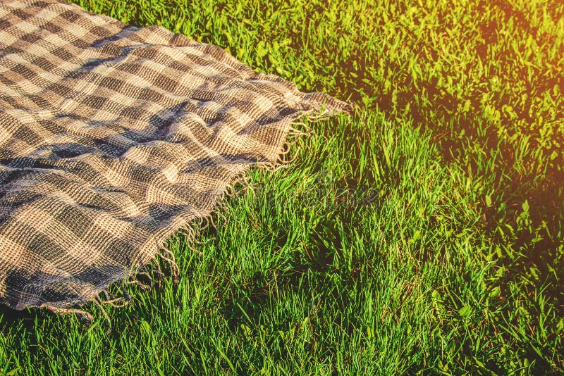Plaid for a Picnic on the Grass. Stock Image - Image of spring, cooking ...