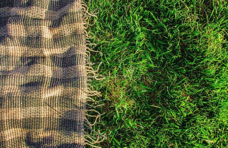 Plaid for a Picnic on the Grass. Stock Photo - Image of spring, bright ...