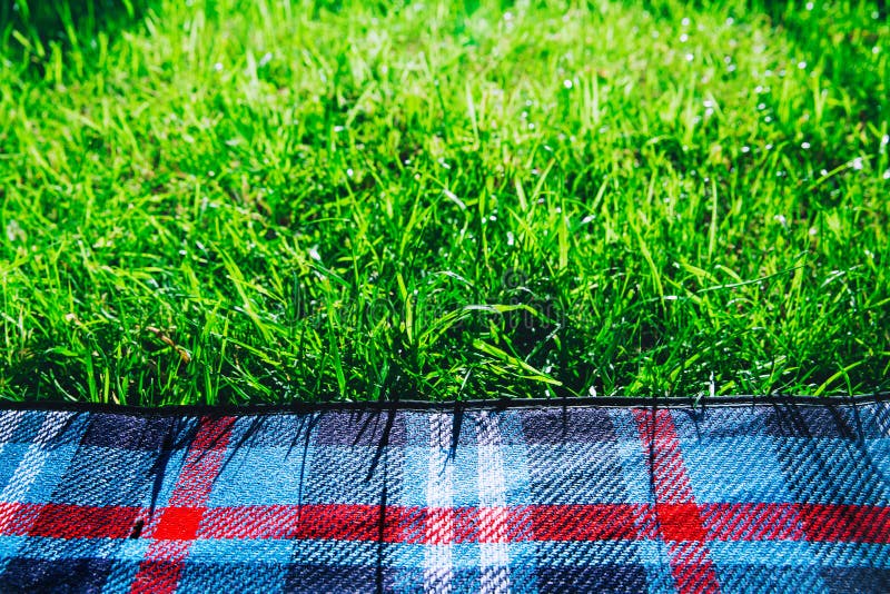 Plaid for Picnic on Green Grass Stock Image - Image of food, natural ...