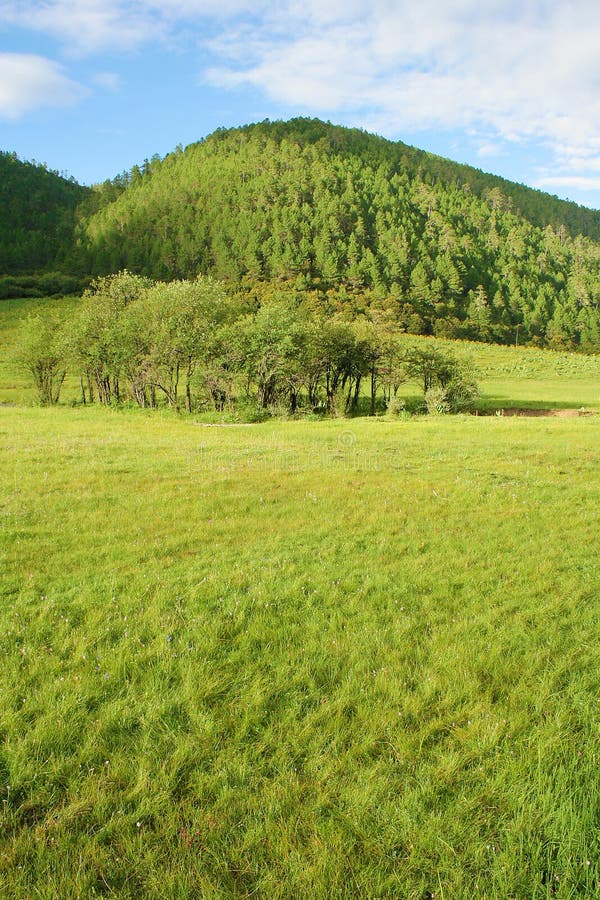 Plain stock photo. Image of landscape, meadow, cloud - 10631774