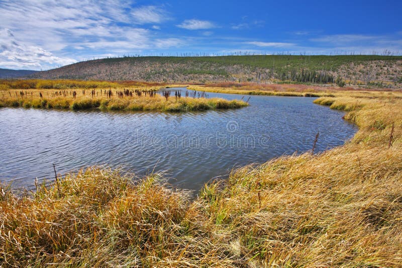 Plain stock image. Image of liquid, yellow, environment - 17037205