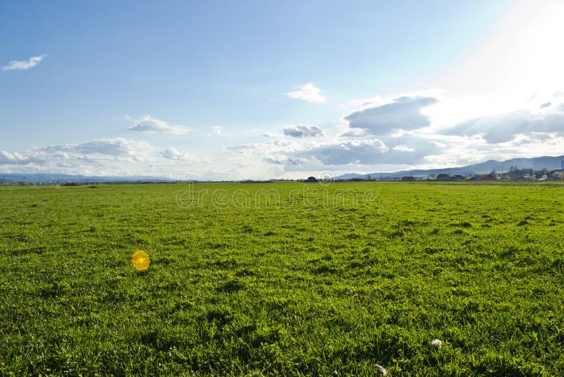 Plain stock image. Image of spring, field, beautiful - 30612005