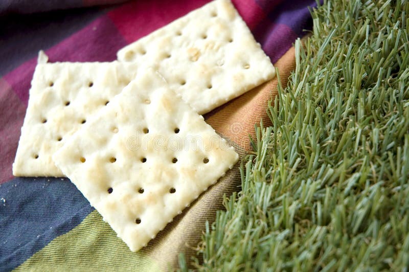 Plain Crackers on Color Background Stock Image - Image of concept ...