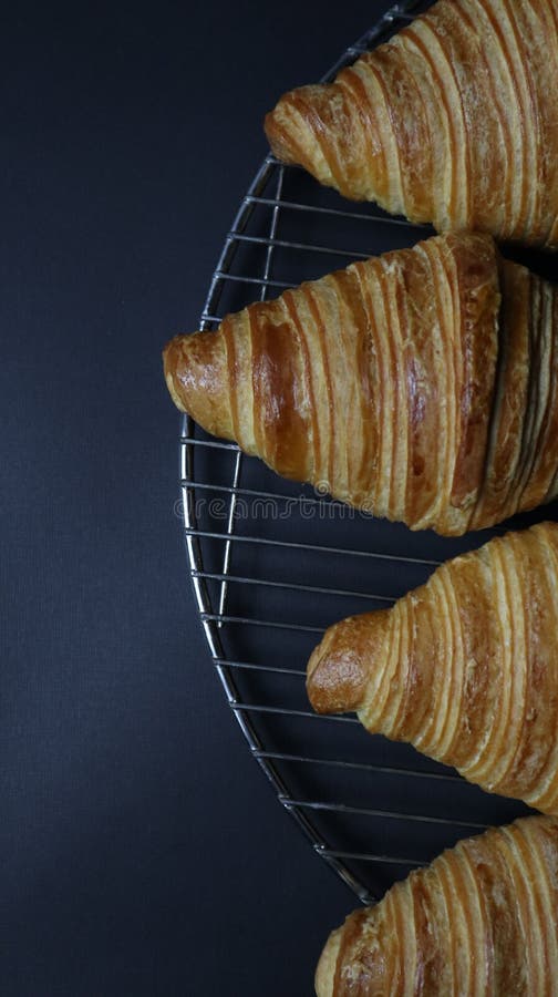 Plain croissant stock photo. Image of croissant, plain - 260460892