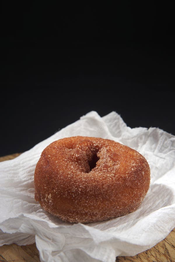 Just Plain Donut stock photo. Image of moody, cake, dark - 229409806