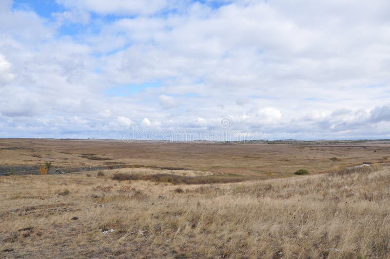 Plain stock photo. Image of autumn, trees, plain, design - 102451100