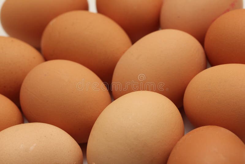 Plain eggs stock image. Image of decorating, light, holdiay - 22673859