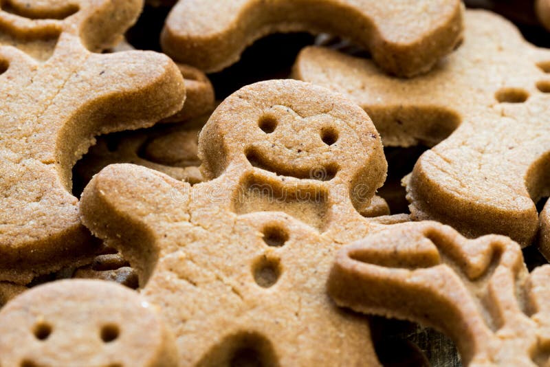 Plain gingerbread man stock photo. Image of baking, homemade - 33669566