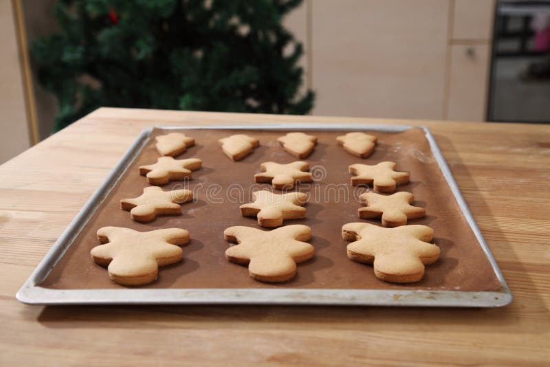 Plain gingerbread man stock photo. Image of expert, holiday - 33669566