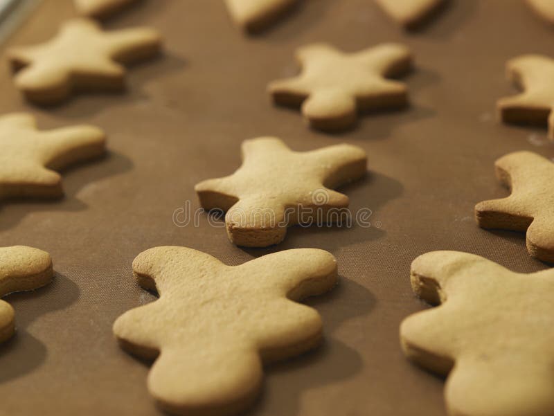 Plain gingerbread man stock image. Image of expert, culinary - 33669583