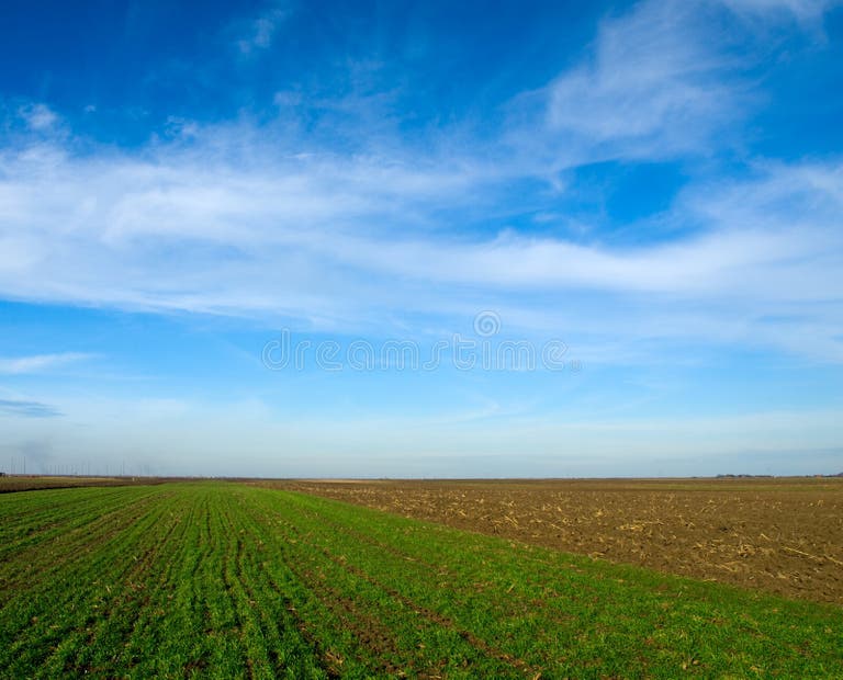 Plain landscape stock photo. Image of green, cloud, landscape - 8304838