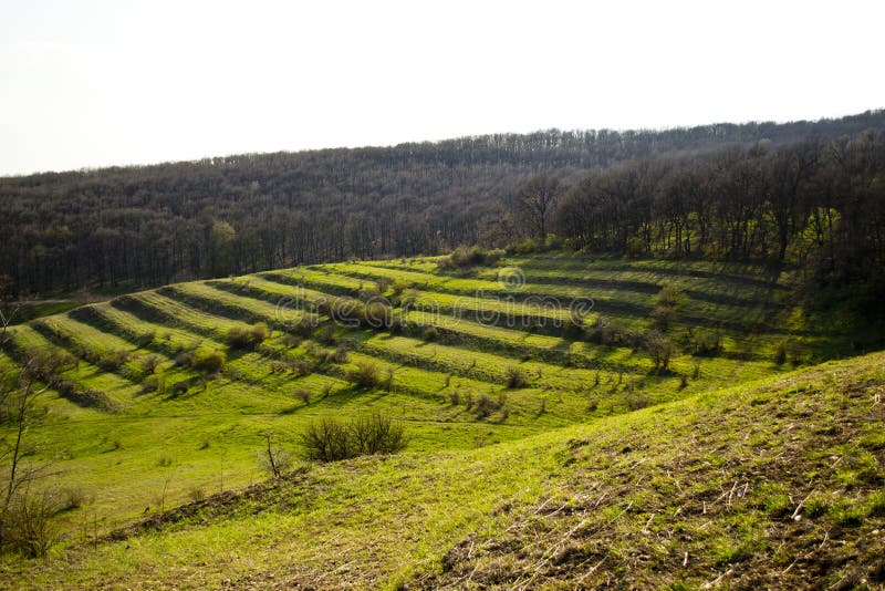 Plain landscape stock photo. Image of scenery, plains - 30612056