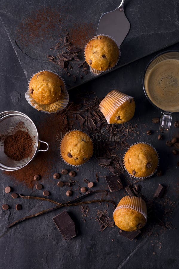 Plain Mini Muffins with Chocolate Chips on Dark Grey Background Stock ...