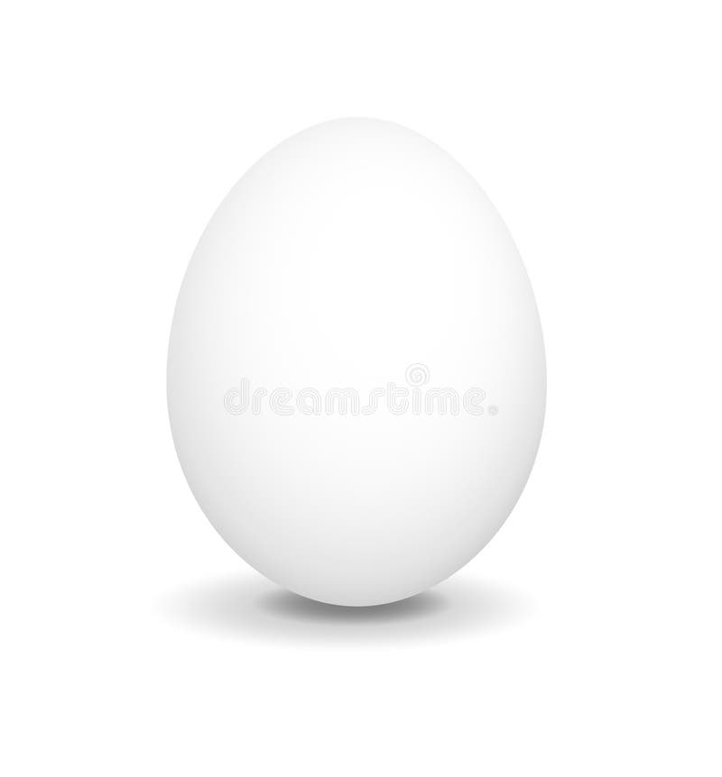 Plain Natural White Egg, Vector Illustration Stock Vector ...