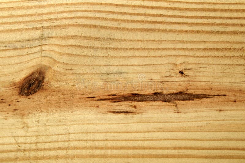 Plain pine wood background stock image. Image of textured - 32260135
