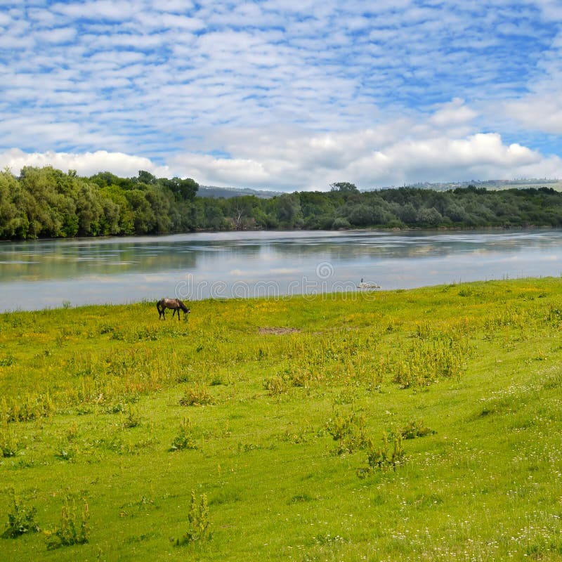 Plain River with Inflows and Floodplain Forest Stock Image - Image of ...