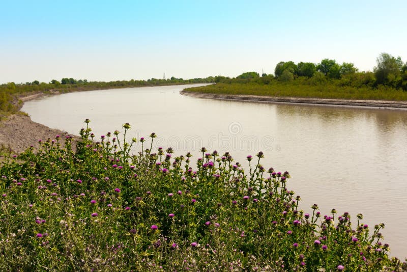 Plain river stock image. Image of green, conservation - 91640485