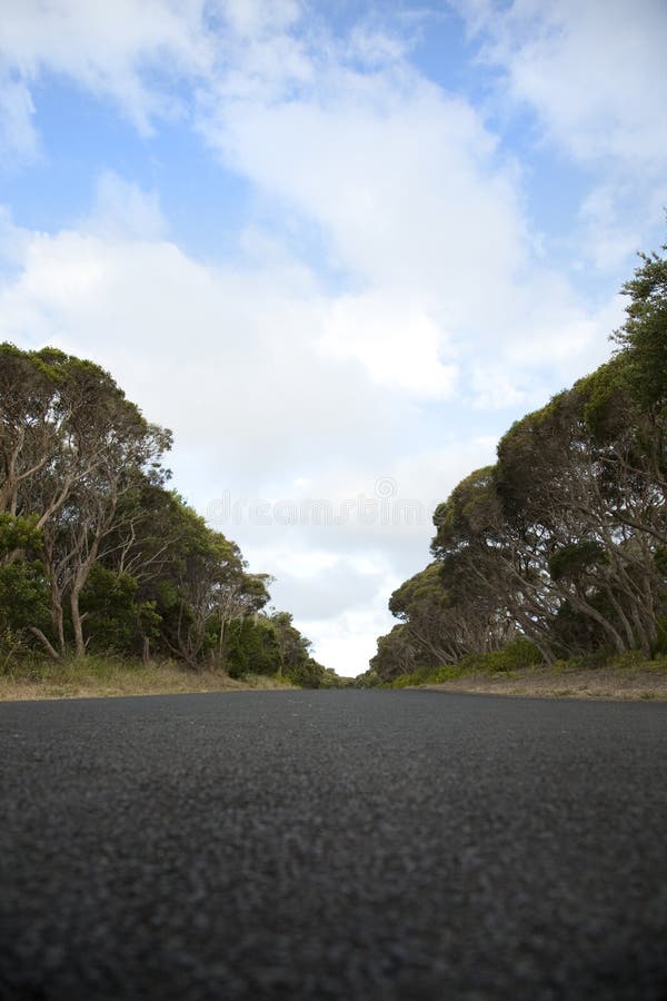 Plain Road stock photo. Image of destination, destiny - 38808564