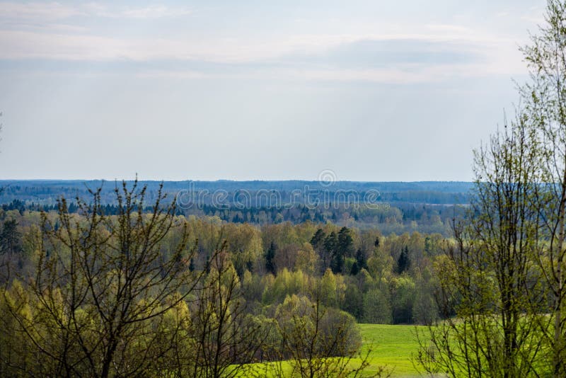 Plain Simple Countryside Spring Landscape with Fresh Green Meadows and ...