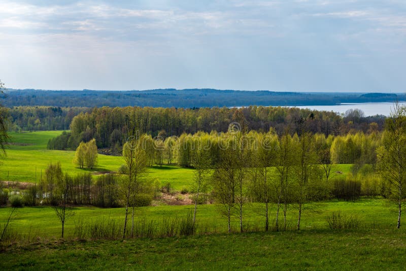 Simple Countryside Landscape in Latvia with Fields and Trees Under Snow ...