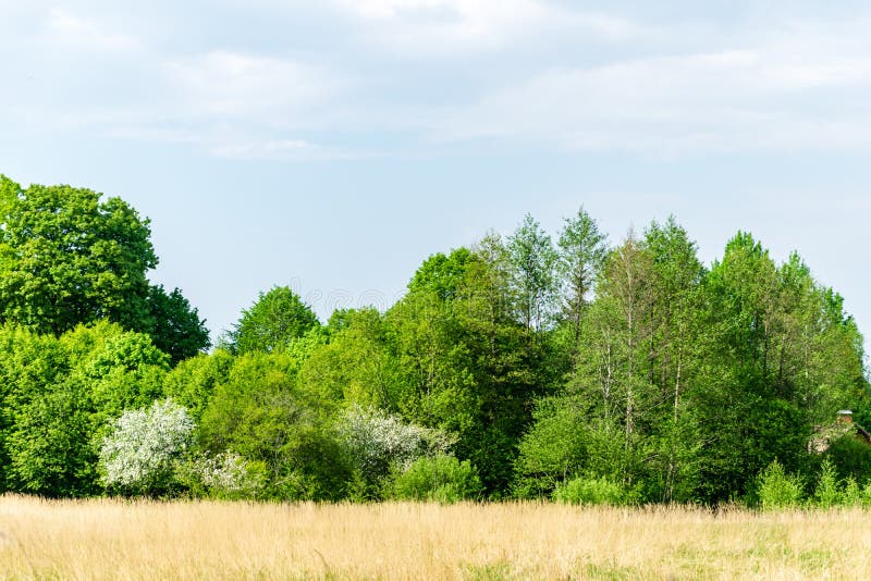 Plain Simple Countryside Spring Landscape with Fresh Green Meadows and ...