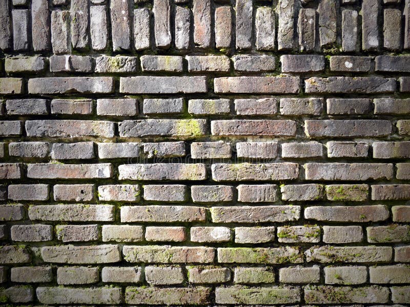 Plain Solid Brick Wall with Moss Background Stock Photo - Image of ...