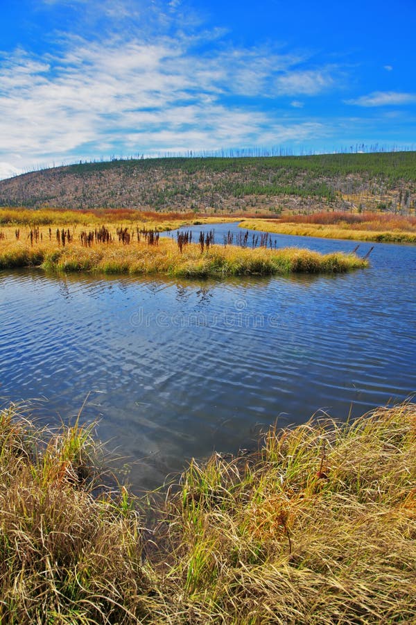 Plain and stream stock image. Image of arid, natural - 11707445