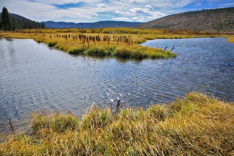 Plain, stream and grass stock image. Image of green, smooth - 13418921