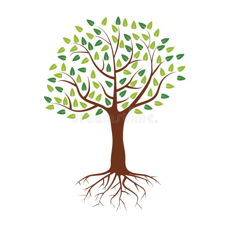 Tree Roots Flat Stock Illustrations – 941 Tree Roots Flat Stock ...