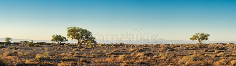 Plain with Trees at Sunny Day Stock Image - Image of journey, places ...