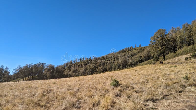 Plain View on Peak of Lawu Mountain Indonesia Stock Photo - Image of ...