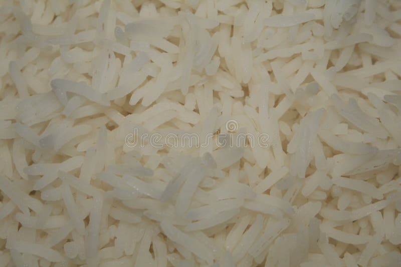 Plain white boiled rice stock photo. Image of textile - 270749380