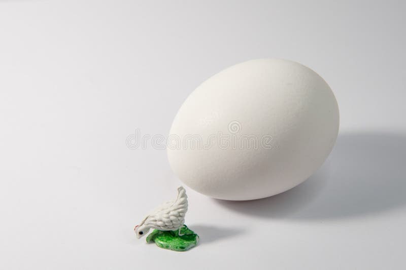A Plain White Egg and a Miniature Plastic Chicken Stock Photo - Image ...