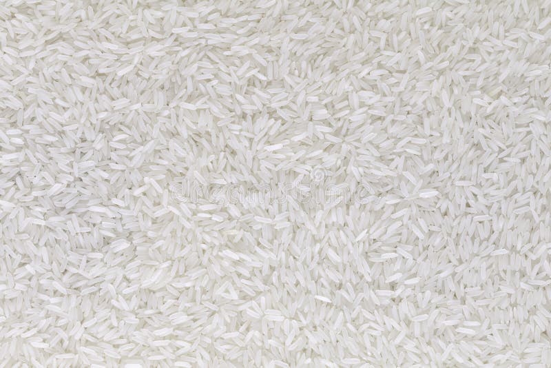 Plain White Rice stock image. Image of ingredient, diet - 173569587