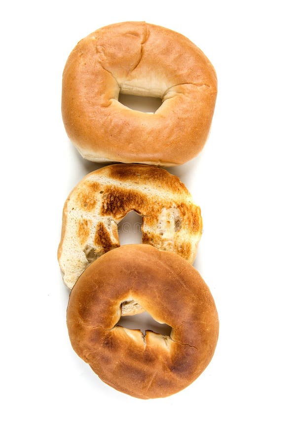 Toasted plain bagel stock photo. Image of white, toasted - 12076664