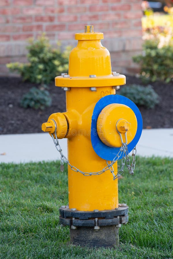 Plain Yellow Fire Hydrant in a Vertical Format with Grass Stock Photo ...