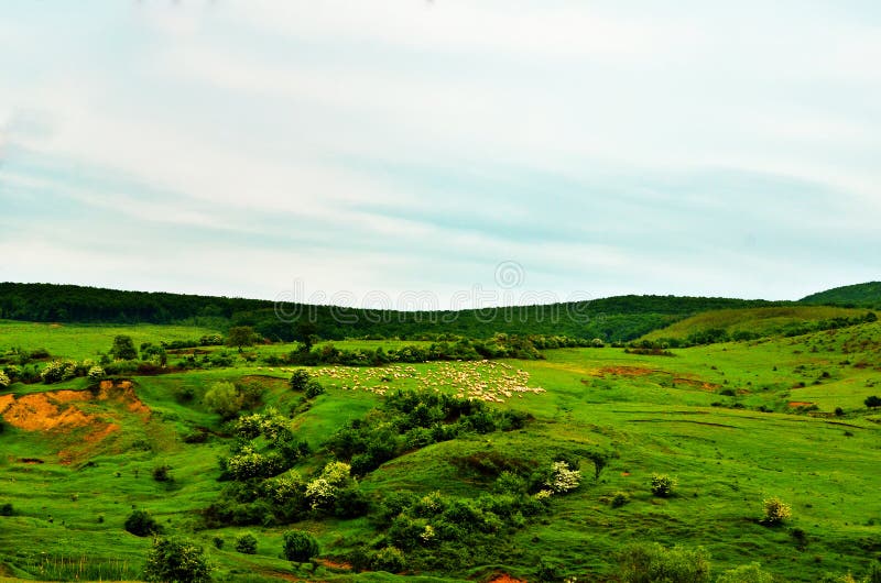 Plaine image stock. Image du paradis, vert, bande, plaine - 58881313