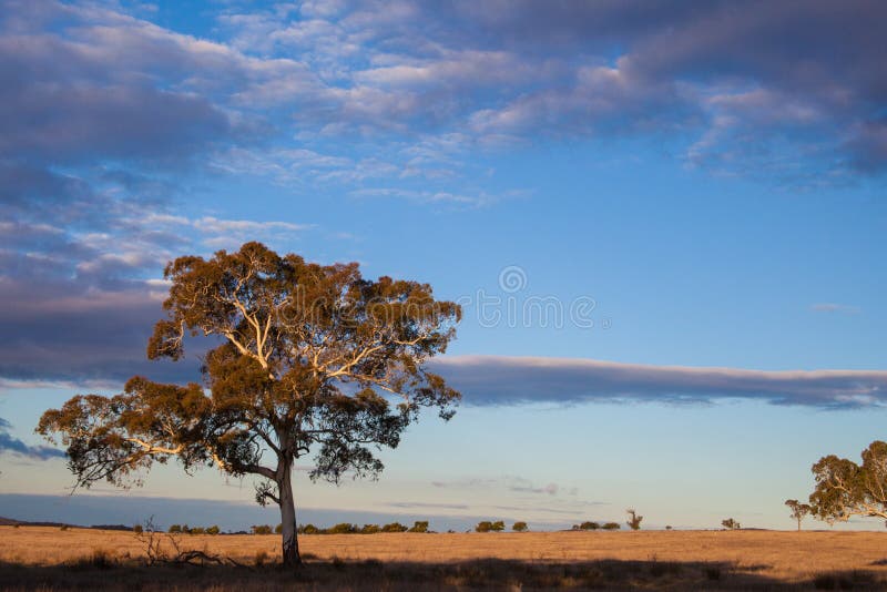Plains Near Canberra, Australia Capital Territory Stock Image - Image ...