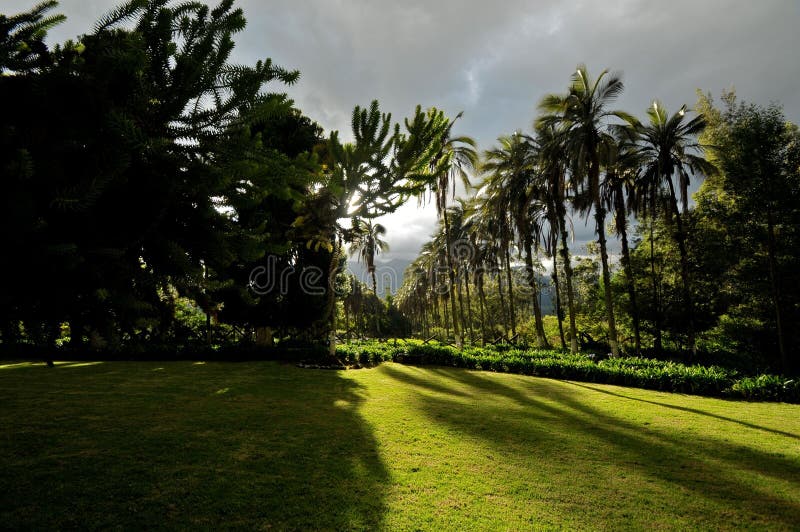 Plains full of trees stock photo. Image of natural, landscape - 284503254