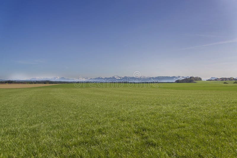 Plains stock photo. Image of sunny, fallow, grass, alps - 46442874