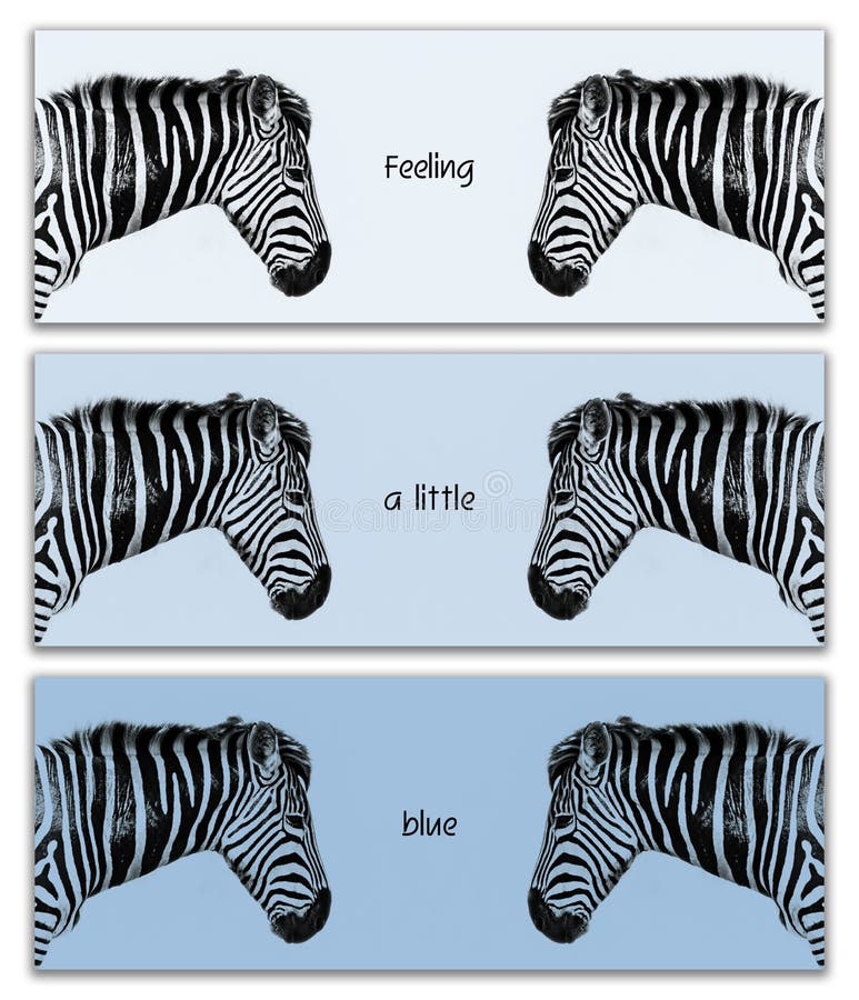 Triptych Feeling Stock Photos - Free & Royalty-Free Stock Photos from ...