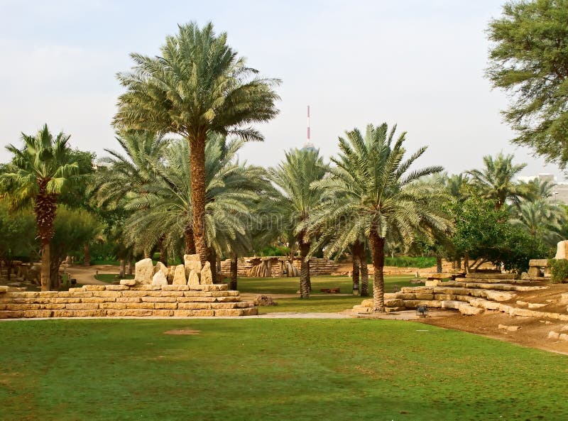 1,133 Garden Saudi Arabia Stock Photos - Free & Royalty-Free Stock ...